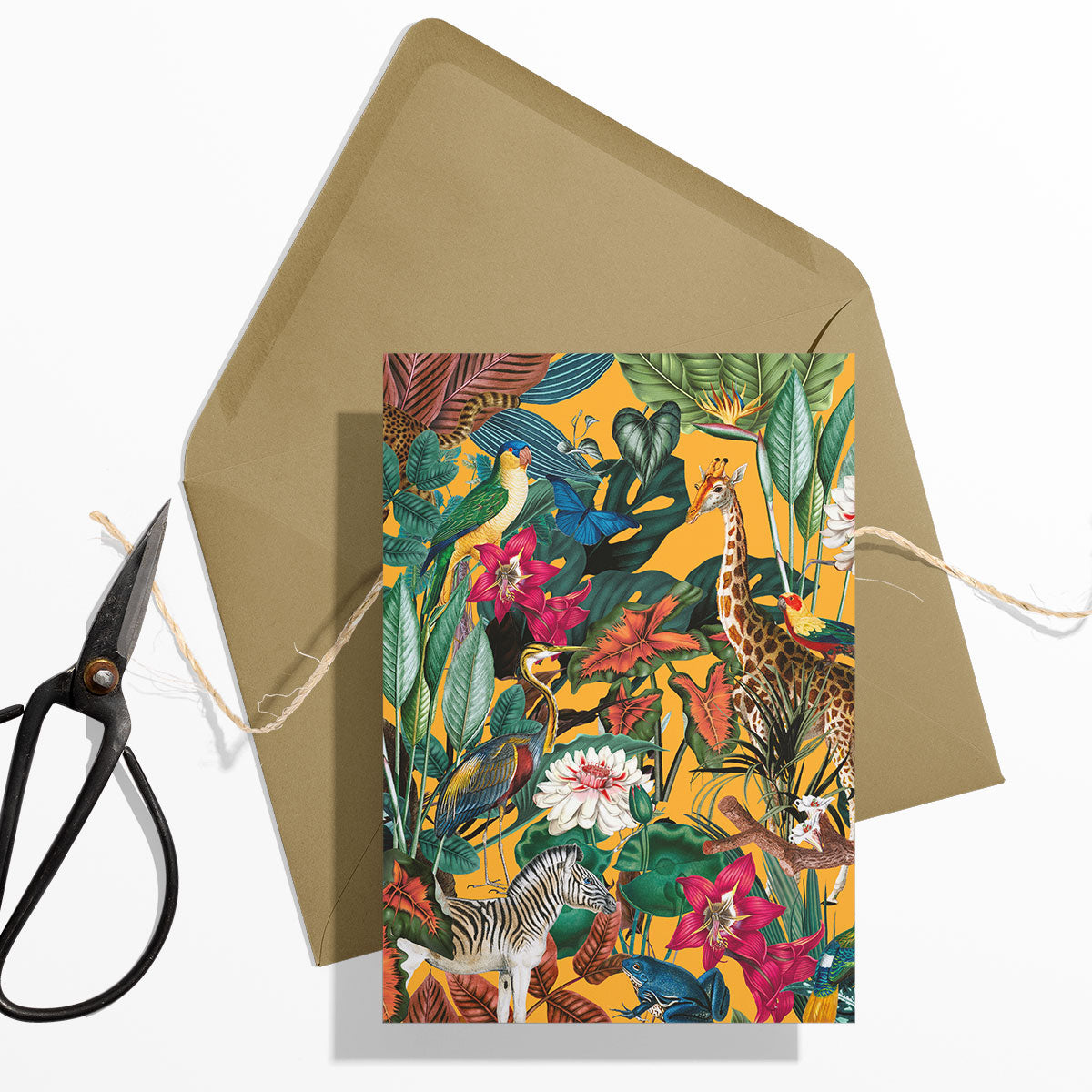 GIFT CARD SET [6] ~ Jungle Wild – Moon & Back - Interiors & Stationery